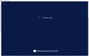 Windows Server Hangs at “Please Wait” – It`s simple when you know how